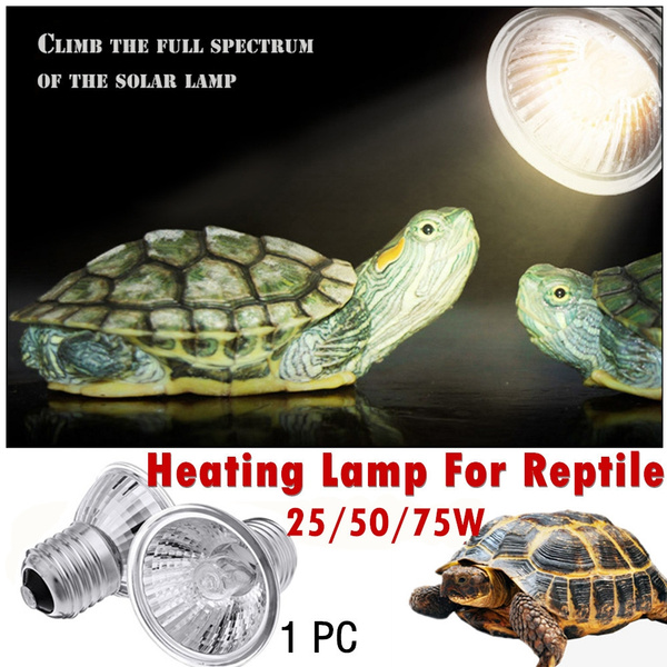 25/50/75W Full Spectrum Sunlamp Heating Lamp Infrared Amphibian Snake ...