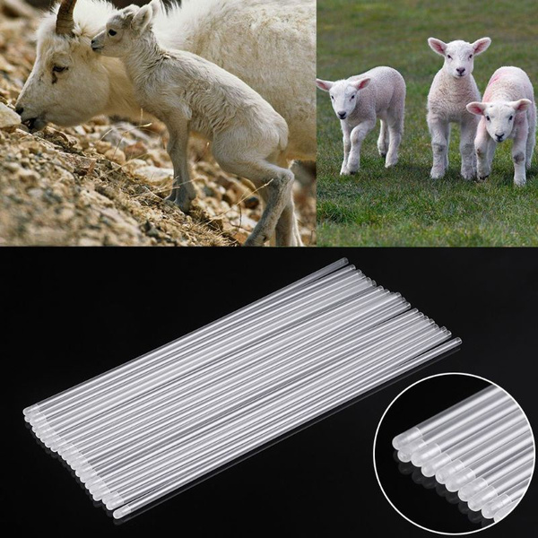 20Pcs Pet Canine Dog Goat Sheep Artificial Insemination Breed Whelp ...