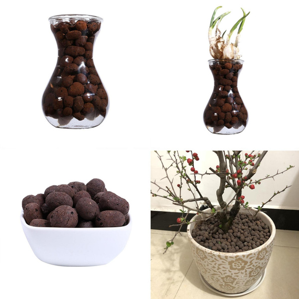 100g Media Expanded Anion Clay Pebbles Balls Hydroponics Bonsai Growing ...