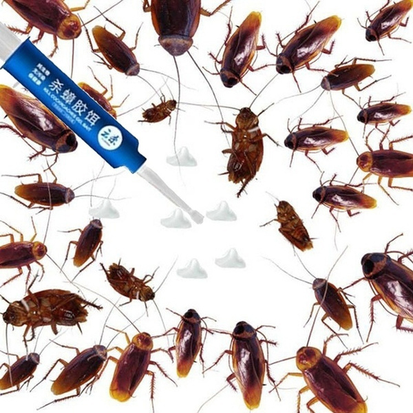 Cockroach Glue Bait To Eliminate Mosquito Fly Cockroach Insecticide ...