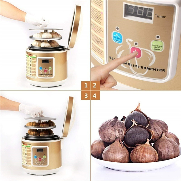 Automatic Black Garlic Fermenter Black Garlic Ferment Box Garlic Maker ...