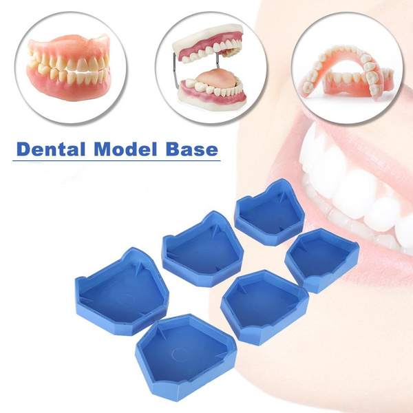Model Base Set Fungus Plaster Base Denture Tray Lab Former Base Kit ...