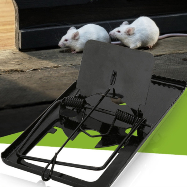 Rat Catching Traps Heavy Duty Snap Mouse Trap Easy Set Pest Catcher | Wish