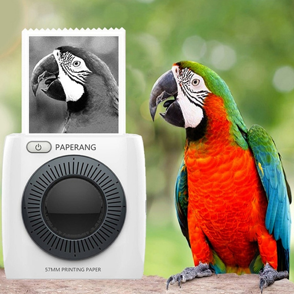 Newest Mini Handheld Bluetooth Photo Printer Pocket Portable Bluetooth ...