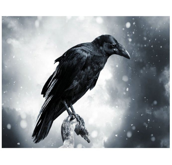 Full DIY Diamond Painting Ravens Animals Diamond Painting 5D Diamond ...