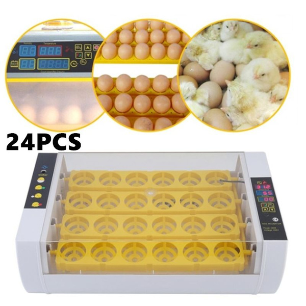 Automatic 24 Eggs Brood Broiler Breeder Poultry Incubator Hatcher ...