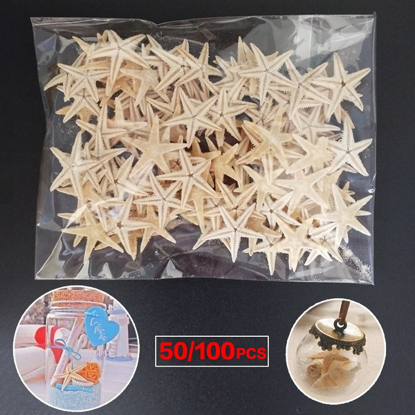 50/100pcs 2-3.5cm Mini Starfish Craft Decoration Natural Sea Stars DIY ...