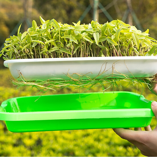 Hydroponics Seed Germination Tray Seedling Tray Sprout Plate Grow ...