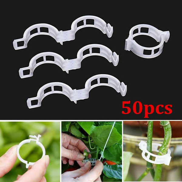 50pcs Garden Vegetables Tomato Vine Stalks Grow Upright Support Plant ...