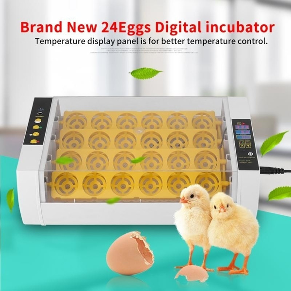 60W 24 Eggs Automatic Digital Egg Incubator Temperature Control Chicken Duck Egg Hatcher Machine ...