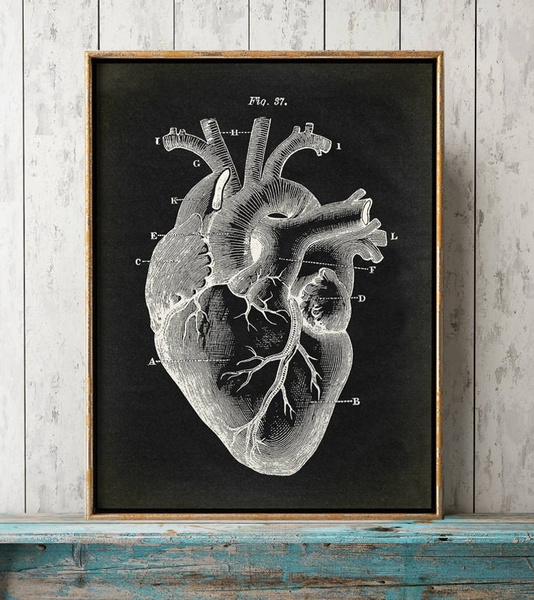 Frameless Decoration Human Organs Human Anatomy Canvas Paintings Body ...