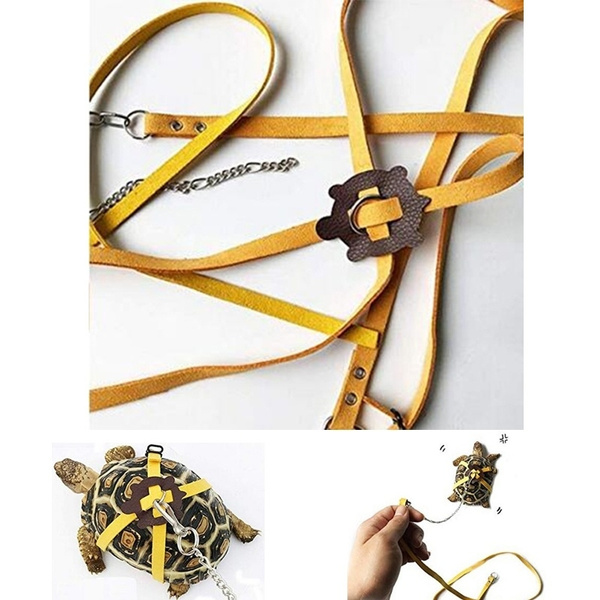 Pet Leather Harness Strap Walking Control Rope Great for Tortoise ...