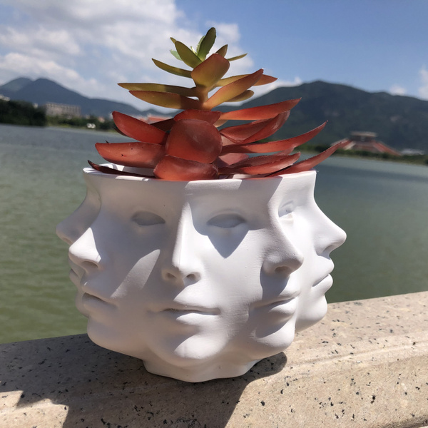 Multi-Face Succulent Planter Vase Small Face Plante Head Face Vase Home ...