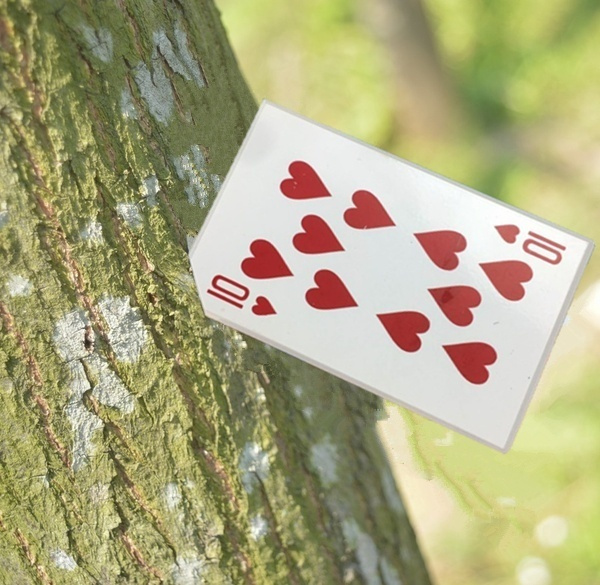 Super Cool Steel Poker Outdoor Concealed Weapon Poker Darts Self ...