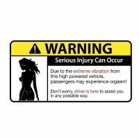 16.4cm x 8.4cm Sexy Warning Vibration High Powered Vehicle Sticker Fun ...