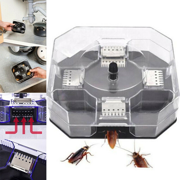 Cockroach Bug Roach Catcher Effective Pesticide Cockroach Killer Bait ...