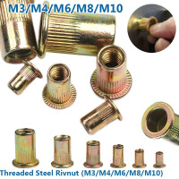 20PCS Carbon steel Rivet Nuts M3 M4 M6 M8 M10 Flat Head Rivet Nuts Set ...