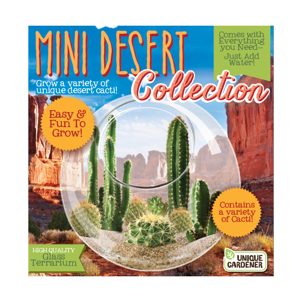 Glass Terrarium - Mini Desert Collection | Wish