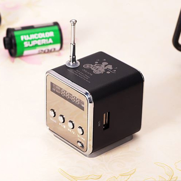 Portable FM Radio Music Player Bluetooth Speaker USB Rechargeable ...