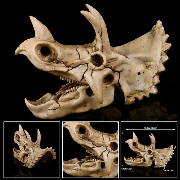 New Resin Triceratops Dinosaur Skull Replica Fossil Skeleton Model ...