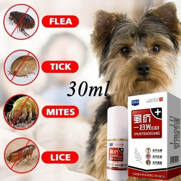 1 Piece Pet Dog Cat Anti-flea Pet Insecticide Flea Lice Insect Killer ...