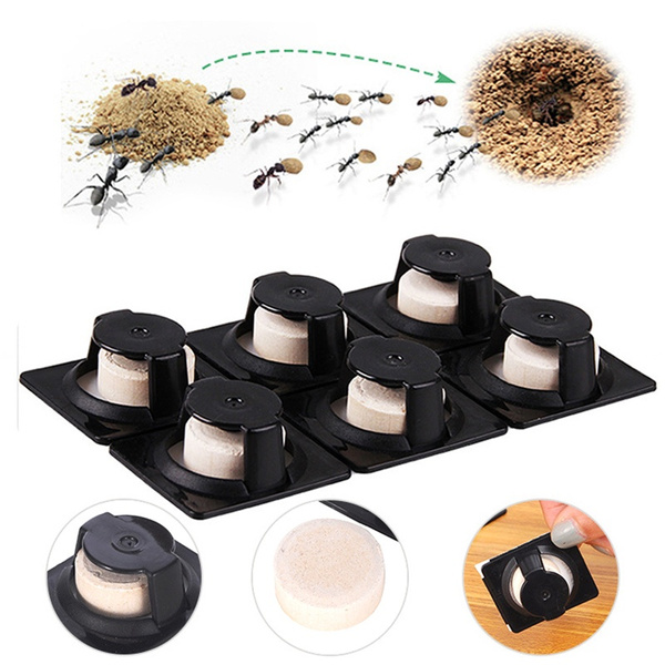 Ant Killer Pest Control Baits Solid Food Lures Insect Repellent for ...