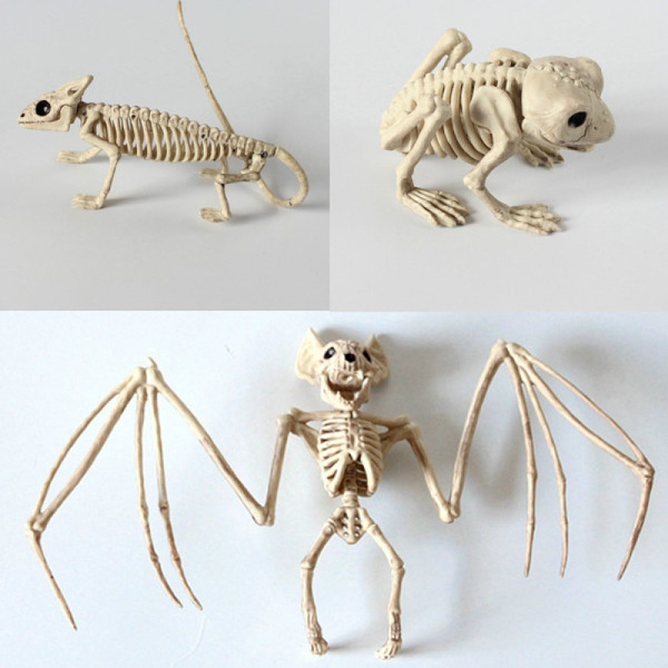 Simulation Plastic Skeleton Bone Bat Lizard Frog Halloween Haunted ...
