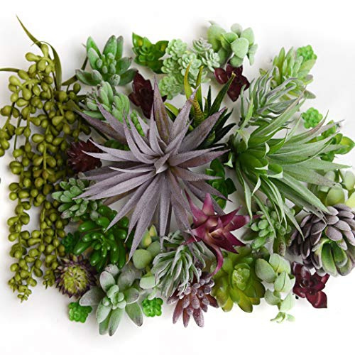 Refurbished Finch Home Products 35 Gorgeous Artificial Succulent Plants ...
