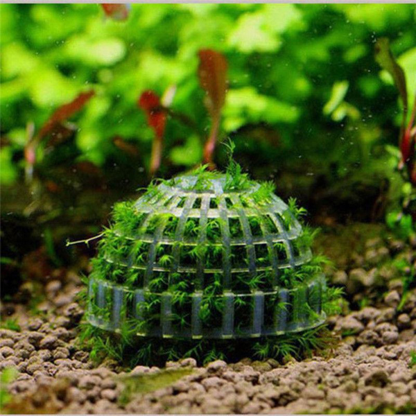 1pc 5cm Aquarium Fish Tank Media Moss Ball Live Plant Filter Filtration ...
