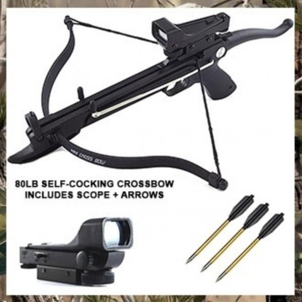MINI CROSSBOW 80 LB HUNTING SELF COCKING PISTOL GUN ARCHERY w Bolts ...