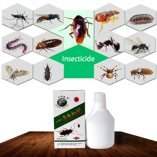 20g Super Effective Cockroach Bug Killer Powder Bed Bug Drug Cockroach ...