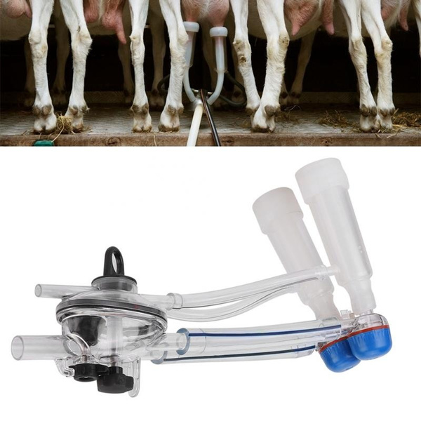 Set Goat Milking Machine Milking Liners Goat Milking Unit Cattle Cow ...