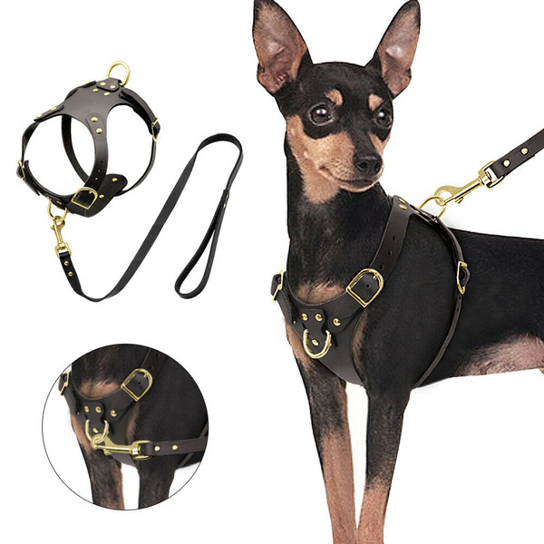 Safety Front Leading Leather Dog Harness and Leash Set with Gold Snap ...