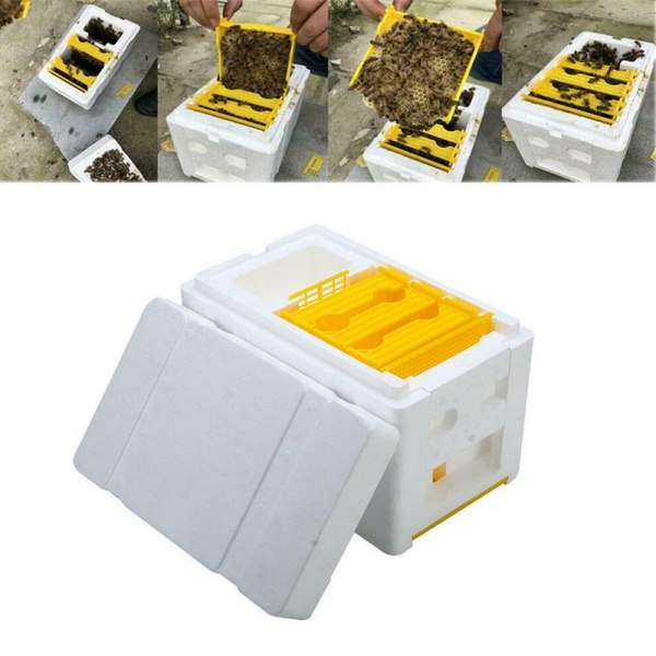 Auto Honey Beehive Frame Bee Hive King Box Garden Pollination Box ...