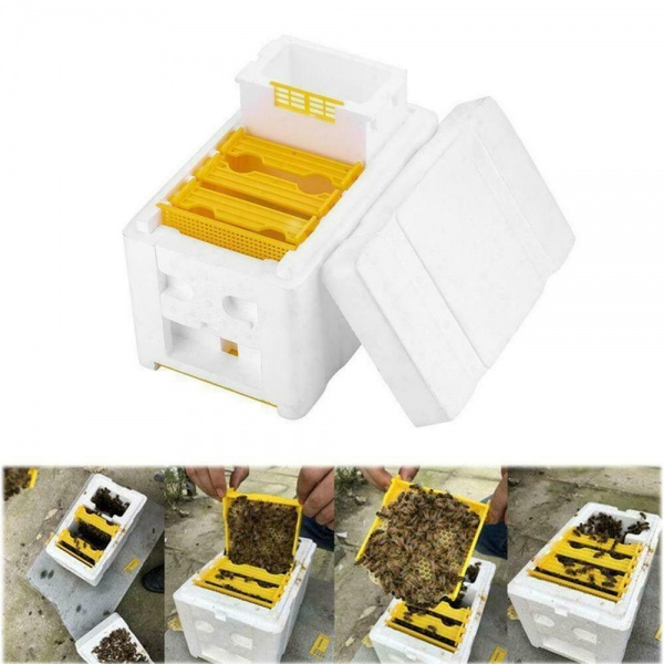 Auto Honey Beehive Frame Bee Hive King Box Garden Pollination Box ...