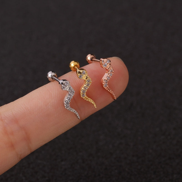 Conch And Rook Piercing