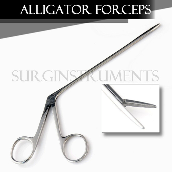 Alligator Forceps Surgical & Veterinary Instruments 12" | Wish