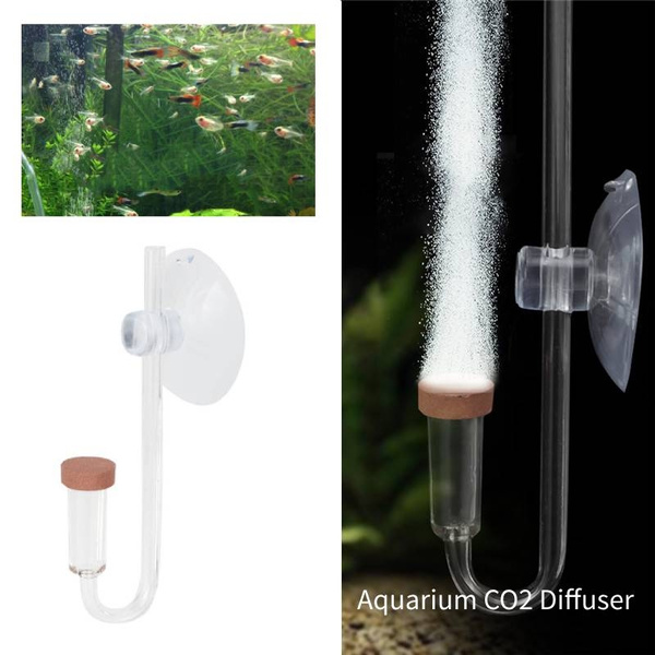 Glass Fish Tank Aquarium Plant CO2 Diffuser Bubblle Atomizer Regulator ...