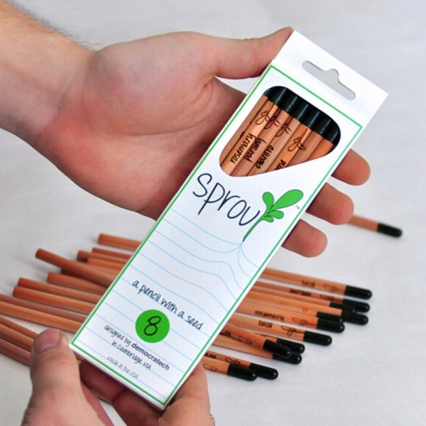 Germination Pencil Set To Grow Pencil Sprouted Pencil Mini DIY Desktop ...