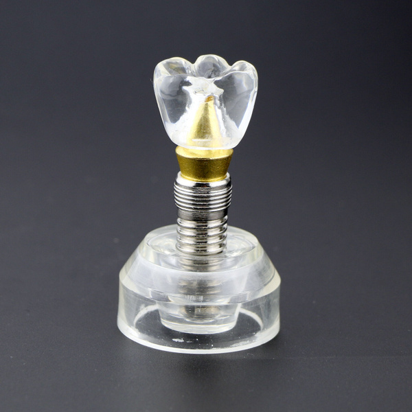Dental Implant Model Implant Crystal Model Demonstration Teeth Study ...