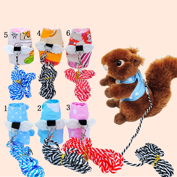 Small Pet Squirrel Vest Harnesses Cartoon Vest Clothes with Lead Leash ...