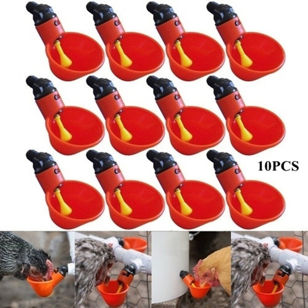 Automatic Cups Water Feeder Drinker Chicken Waterer Poultry Chook Bird ...