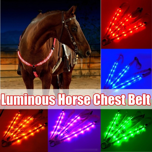 2020 New 6 Colors Outdoor Sports Horse Riding LED Luminous Horse Chest ...