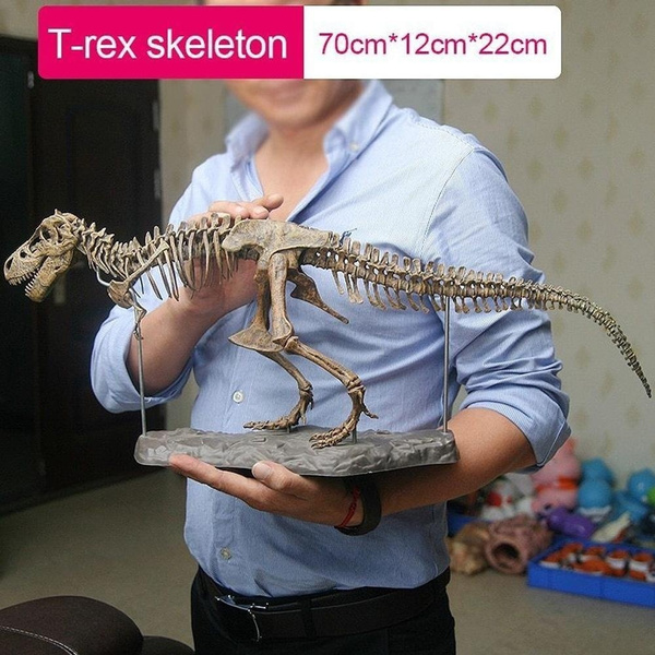4d Assembled Dinosaur Skeleton Children's Toy Tyrannosaurus Fossil ...