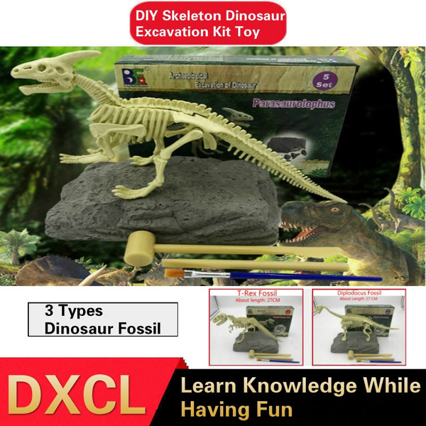DIY 3D Skeleton Dinosaur Excavation Kit Toy - Digging Dinosaur ...