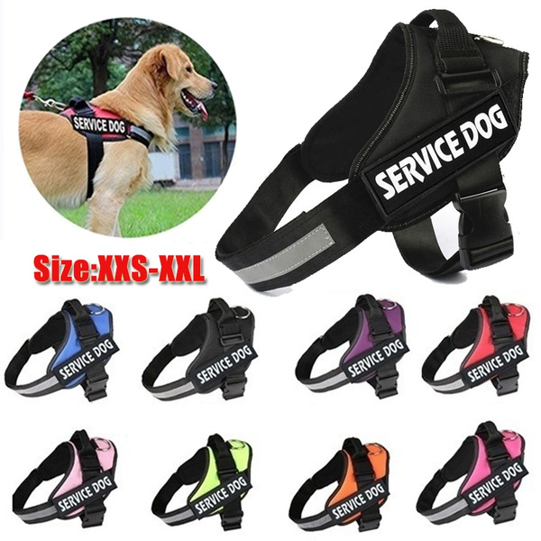 New Comfortable Service Dog Strap with Pet Training Vest, Reflective ...