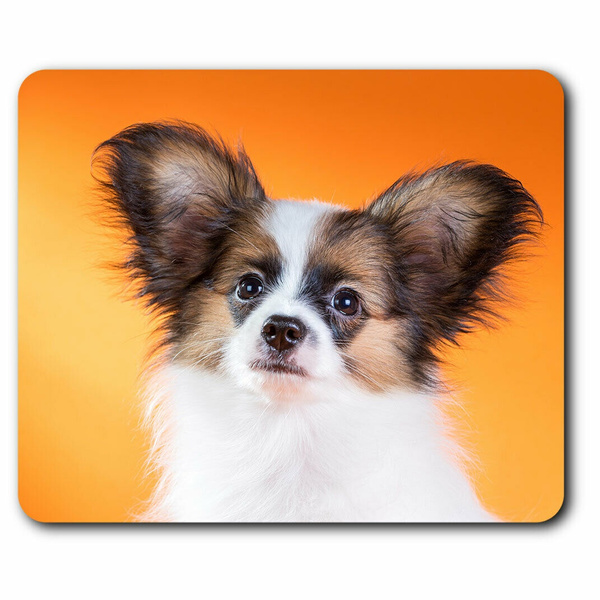 Computer Mouse Mat - Papillon Cute Puppy Dog Pet Office Gift #21426 | Wish