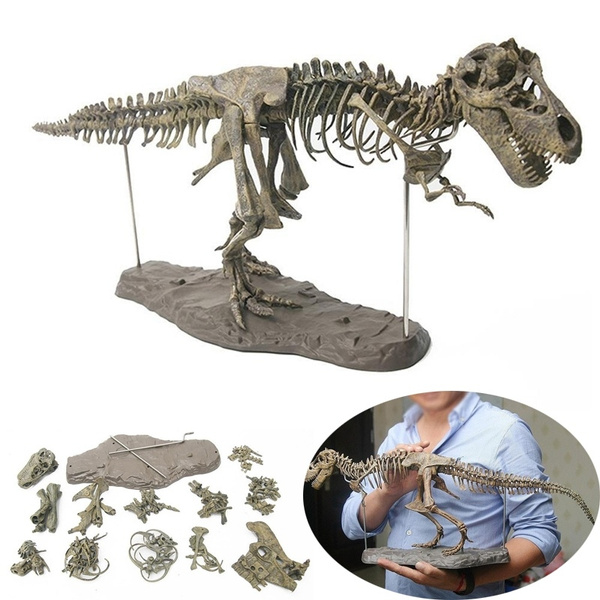 4D Dinosaur Bones Assembled Toy for Kids Tyrannosaurus Rex Bones ...