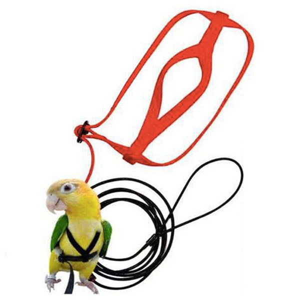 Anti Bite Flight Training Parrot Bird Wire Harness Set Harness Belt ...