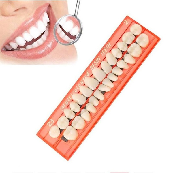Resin Teeth Model Durable Dental Materials Dentures Colors Tooth Shade ...